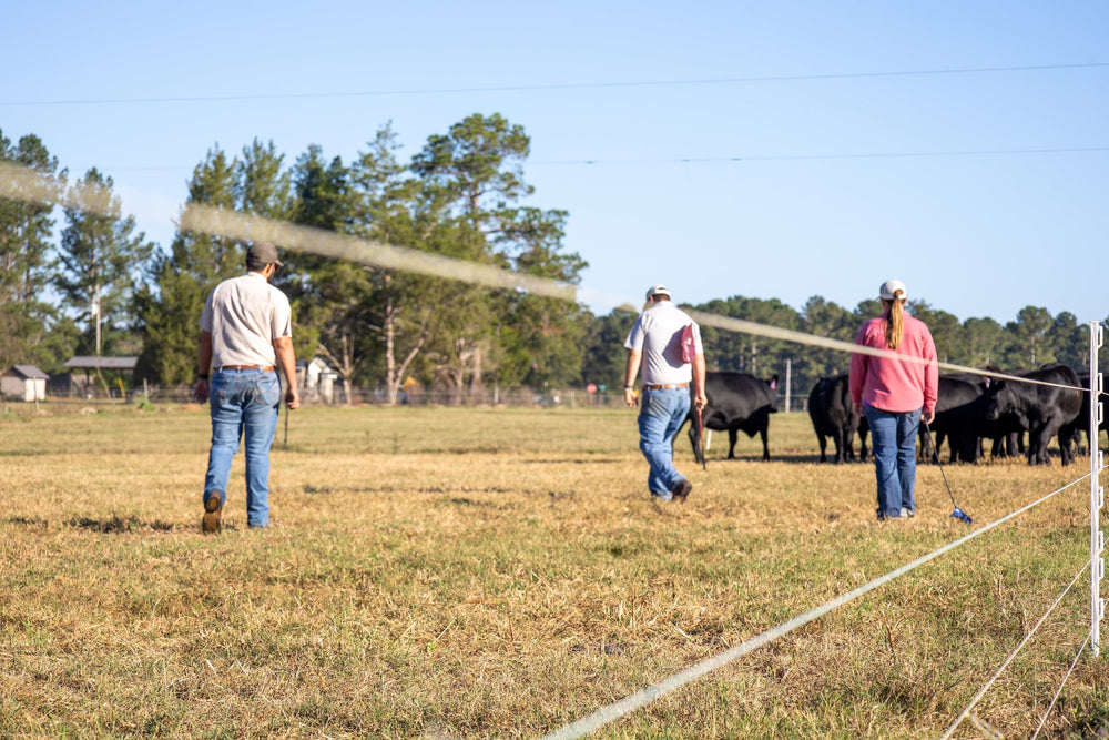 Pasture to Page – Nine Twenty Company